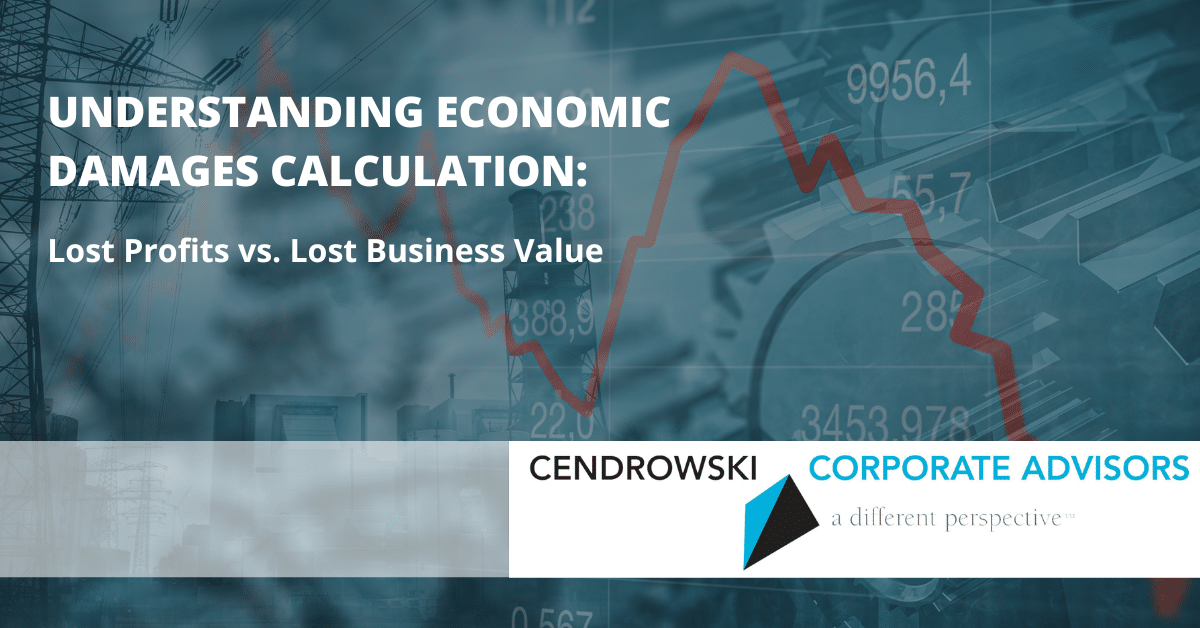 Economic Damages: Lost Profit v. Lost Value
